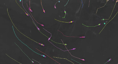 loopbio - quantitative biology